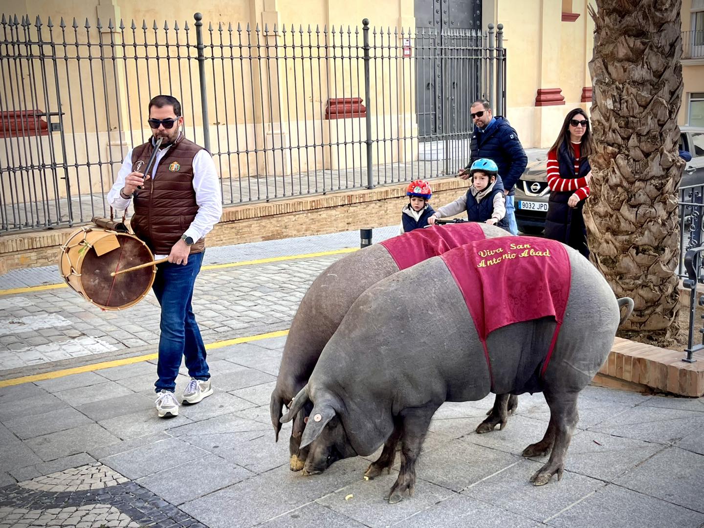 Con sones de flauta y tamboril regresan a Trigueros los cochinos del ...